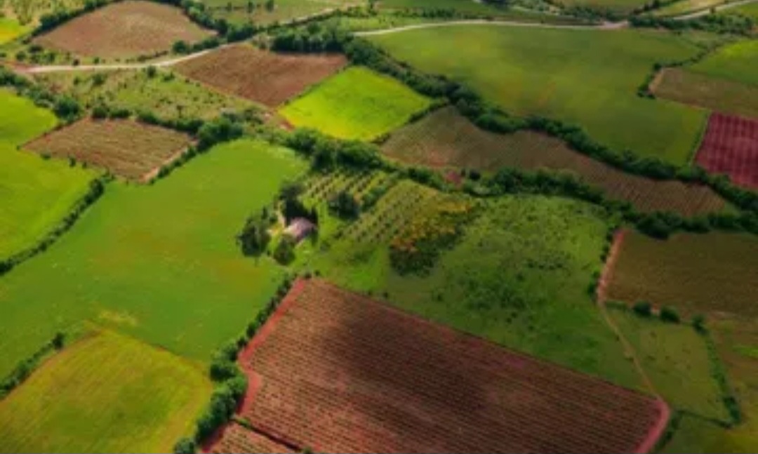 100 Eks Kombatan GAM di Aceh dapat Lahan dari BRA - AcehGround