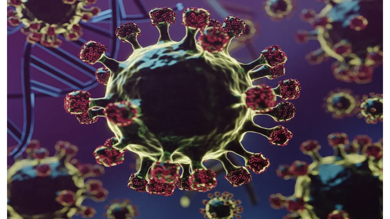 Cara Virus Nipah Menyerang Tubuh: Dari Darah Menuju Otak dan Paru-Paru ...