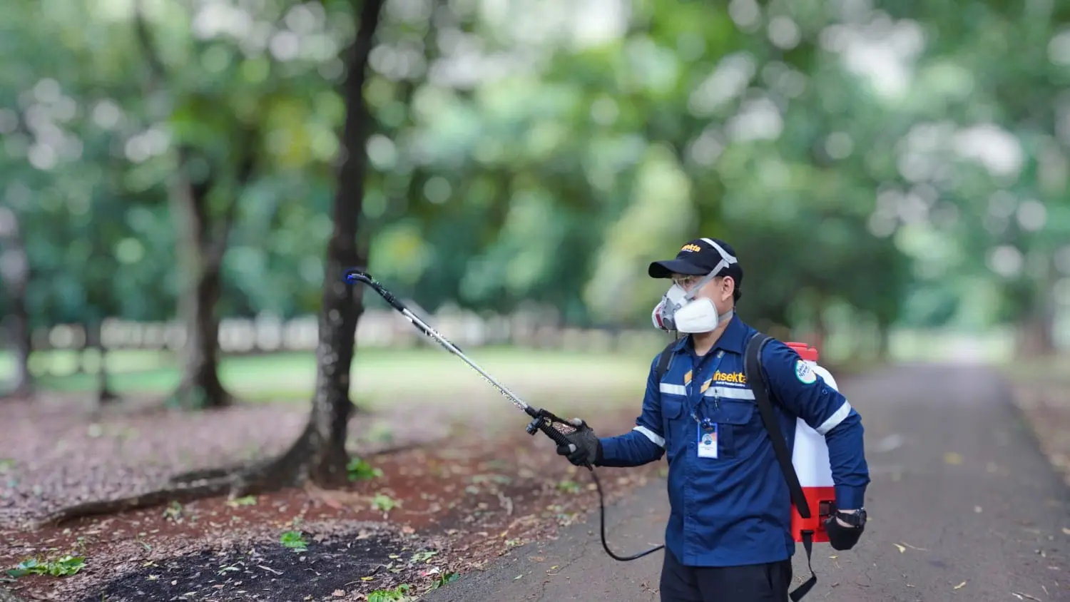 Insekta Perluas Jaringan ke Makassar, Jawab Kebutuhan Pest Control di ...