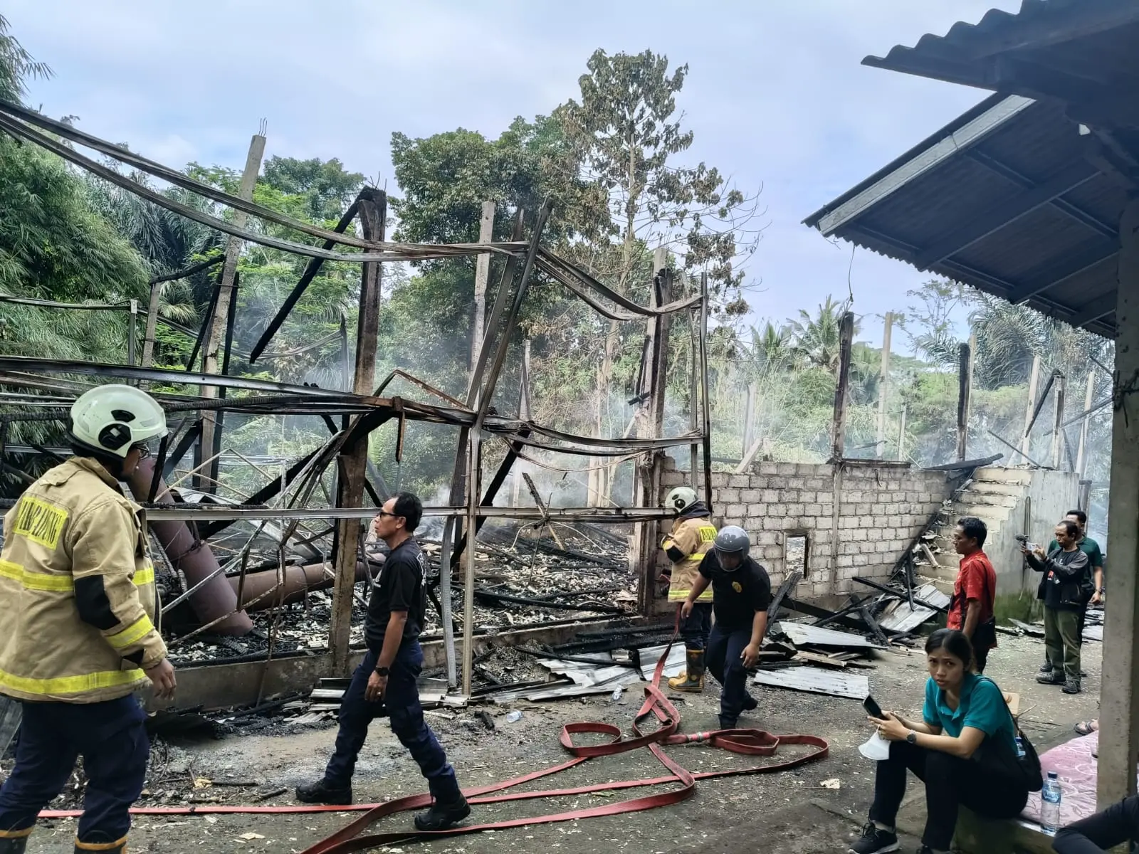 Kandang Ayam Tiga Lantai di Badung Hangus Terbakar, 18 Ribu Bibit Ayam ...